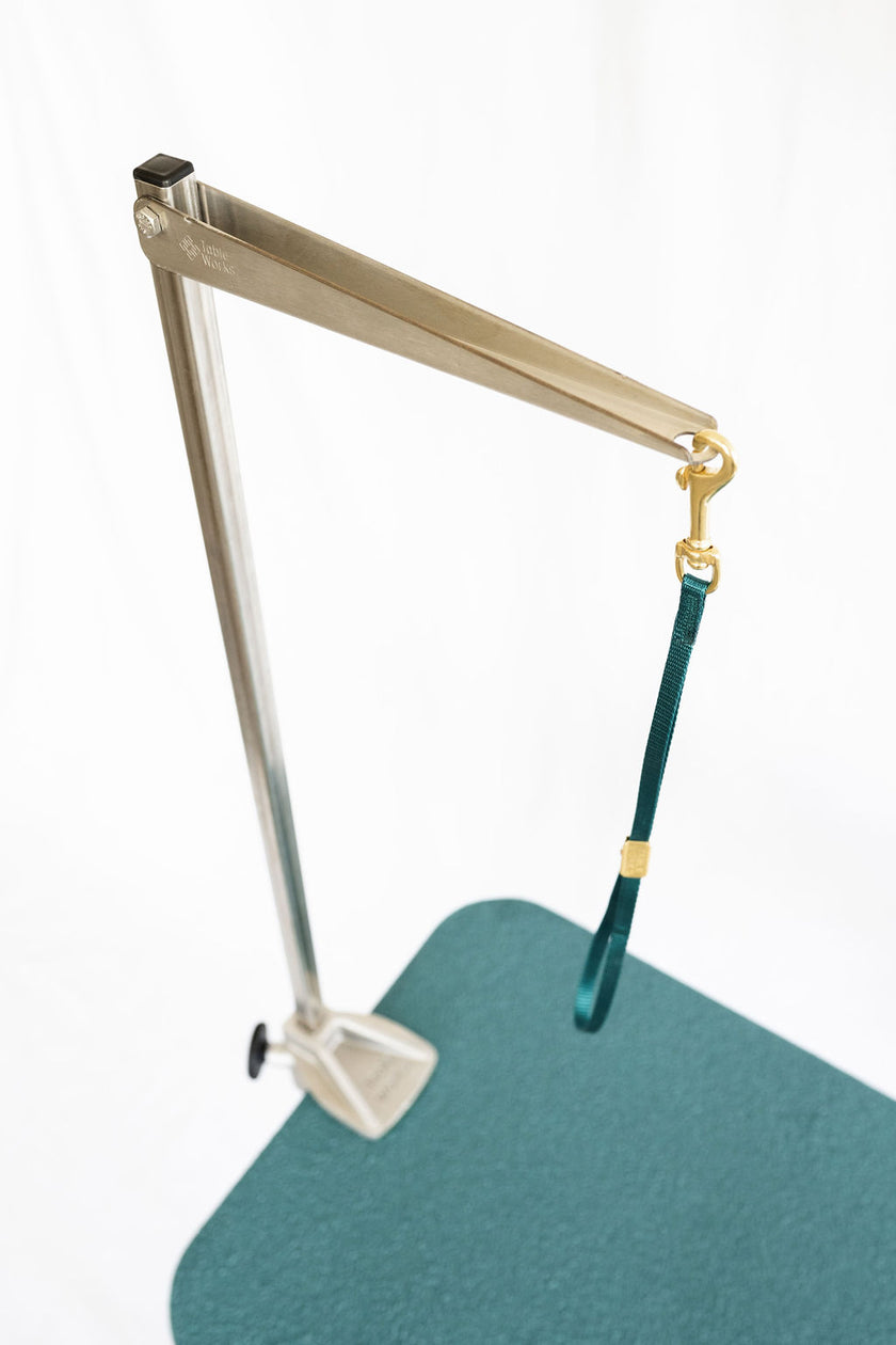 Dog Show Grooming Tables and Accessories made in USA | Table Works