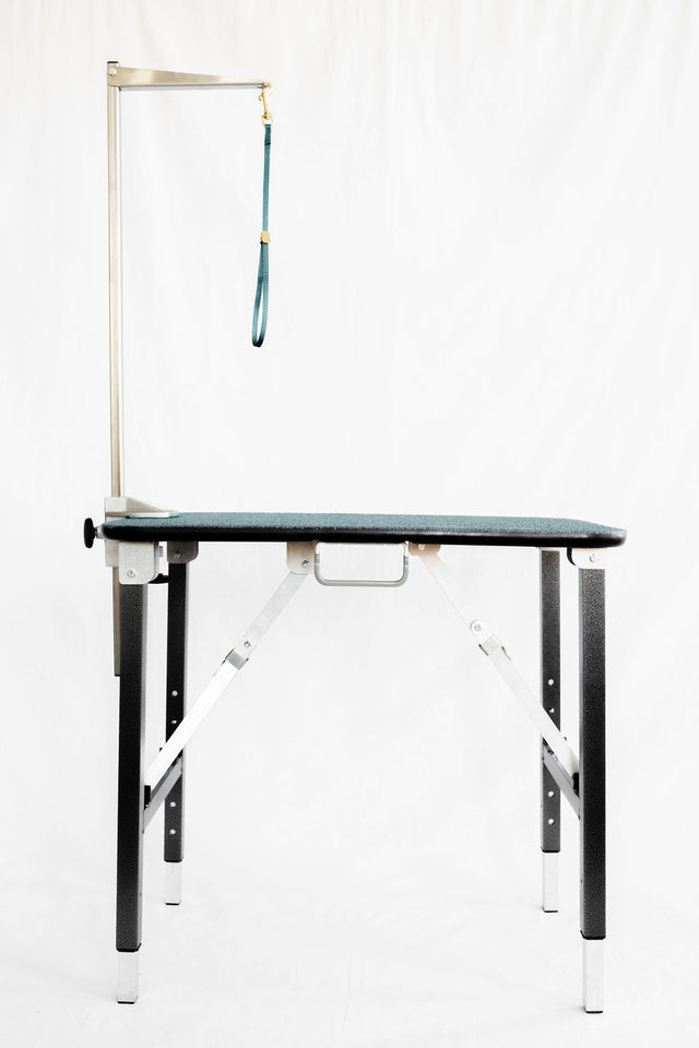 Small Breed Dog Grooming Table – Table Works