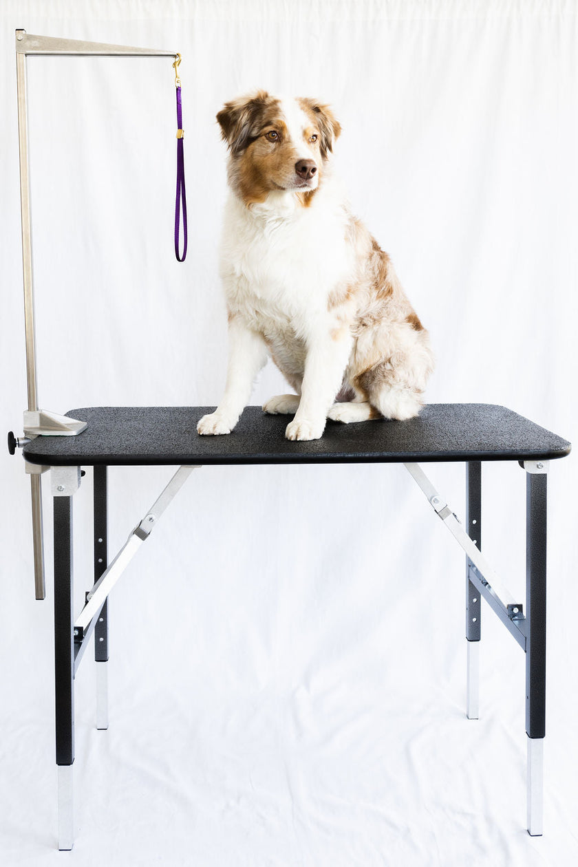 Medium Breed Dog Grooming Table – Table Works